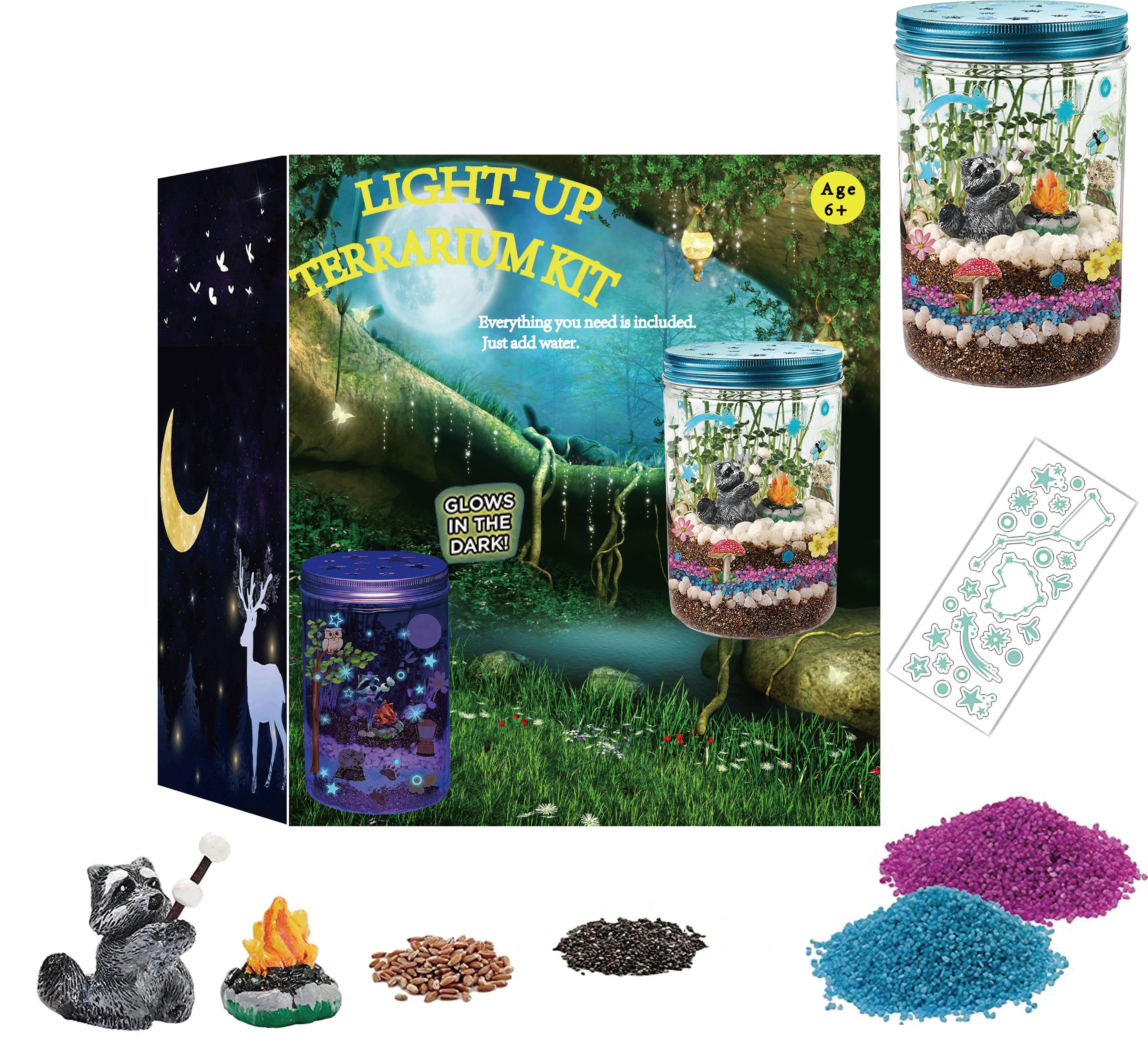Educational Science Kits kids Explore Observe Plant Growing Crafts ...